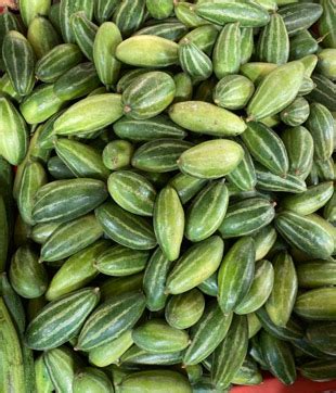 Top 7 Pointed Gourd Parwal परवल Nutrition Facts And Health Benefits