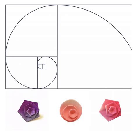 Vertigo Ring And Fibonacci Varily Jewelry