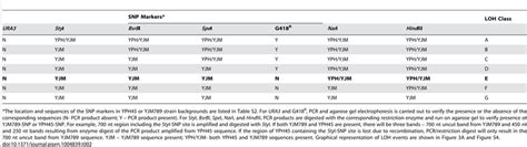 Mapping Of Loh Events By Rflp Snp Assay Download Table