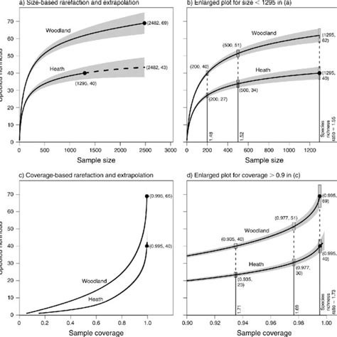 A B Size Based Rarefaction Solid Curves And Extrapolation Dashed Download Scientific