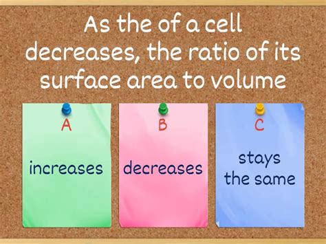 Chapter 3 Cell Structure And Function Quiz