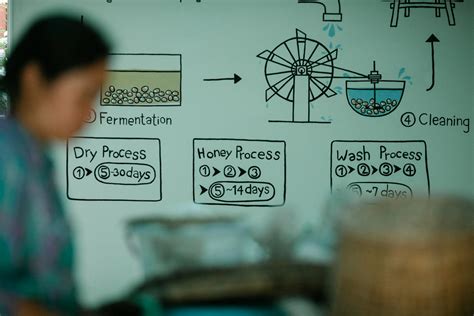 Streamline Testing With Shared Steps In Azure Devops
