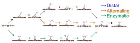 Figure S2 Optimized Structures Of Various Intermediates On 2d Mo Pp