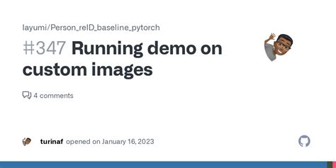 running demo on custom images · issue 347 · layumi person reid