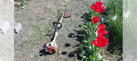 Мотокоса stihl D-71336 Waiblingen FS 38 купить в Москве | Товары для ...