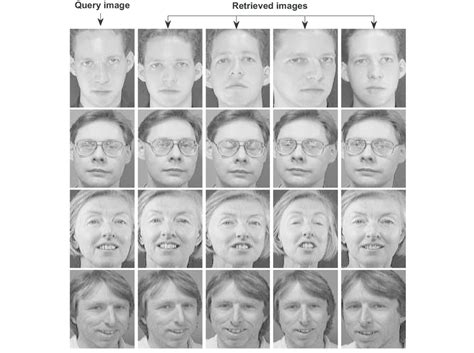 Query Image Retrieval In Orl Face Image Database Download Scientific