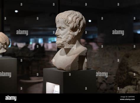 A Remarkably Preserved Bust Of Aristotle On Display At The Museum Of