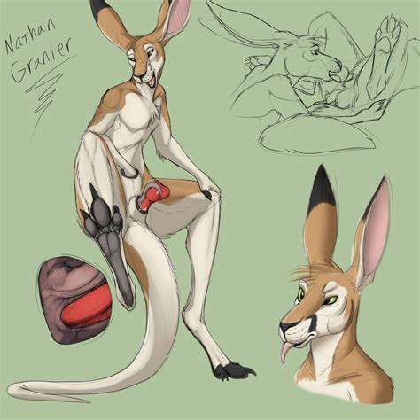 Rule 34 Anal Animal Genitalia Animal Penis Anthro Balls Brown Fur