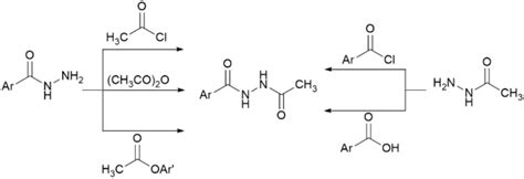 Evaluation Of The Interactions Of Hydrazide Derivatives With Acetic