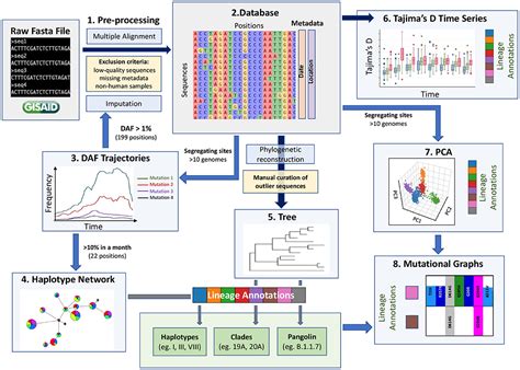 Frontiers Population Genomics Approaches For Genetic Characterization Of Sars Cov 2 Lineages