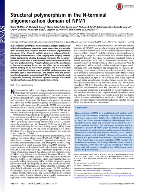 Pdf Structural Polymorphism In The N Terminal Oligomerization Domain