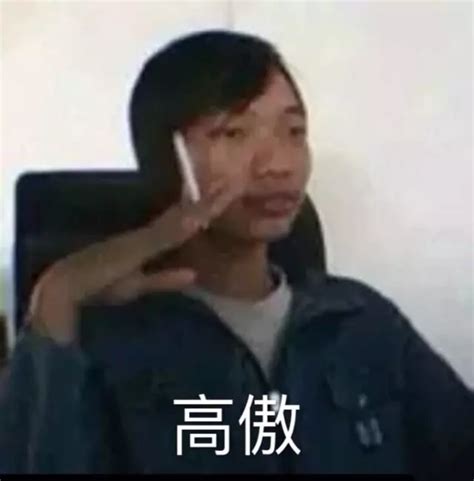 高傲图片表情包 千图网
