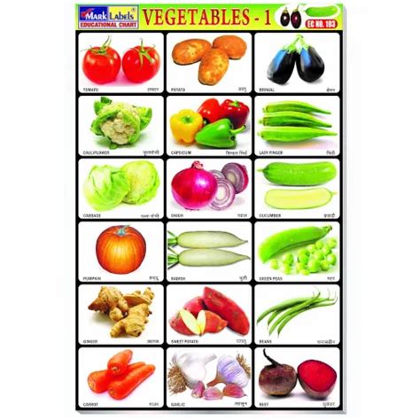 English And Hindi Paper Vegetables Chart Size 9 Inch X 135 Inch At