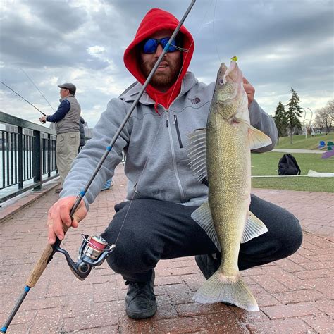 Aiham Alayoubi Aiham Alayoubi Updated His Profile Picture