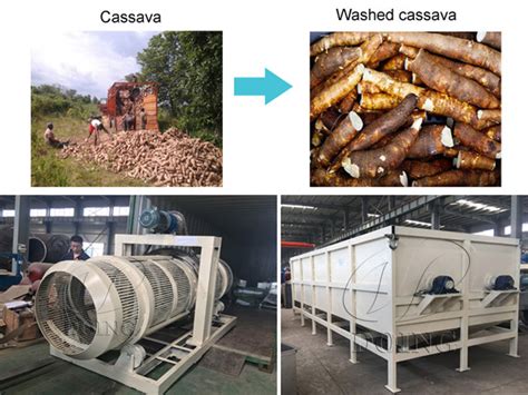 What Are The Tapioca Processing Stepsblog