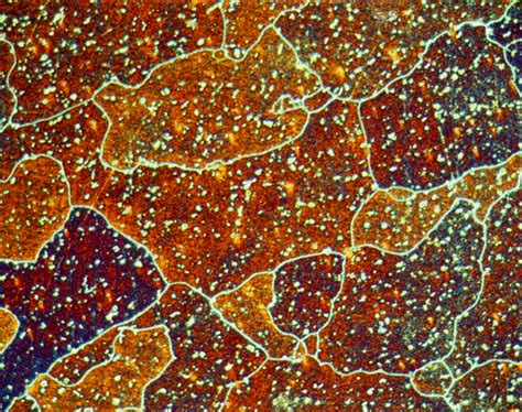 Metallography And Microstructure Of Aluminum And Alloys