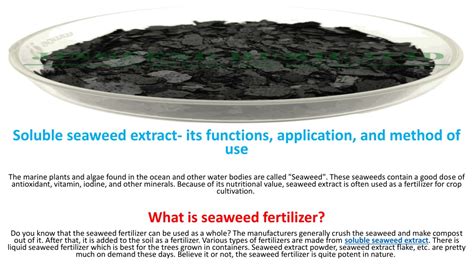 Ppt Soluble Seaweed Extract Its Functions Application And Method