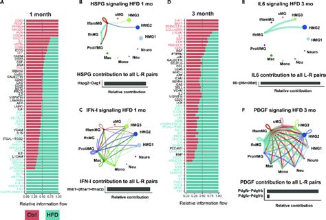 Cell To Cell Communication Analyses Reveal Hfd Specific Intercellular