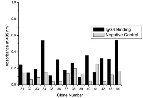 Identification And Characterization Of Novel Fc Binding Heptapeptides