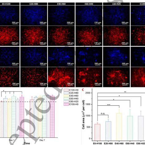 A Fluorescence Stainings Of The Cell Nuclei Dapi Blue And Download Scientific Diagram