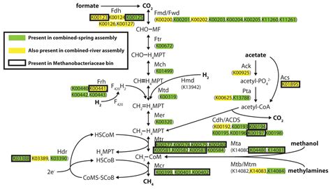 Metagenomic Identification Of Active Methanogens And Methanotrophs In Serpentinite Springs Of