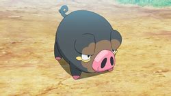 Lechonk Pokémon Bulbapedia The Community Driven Pokémon Encyclopedia
