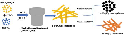 Schematic Of Sample Synthesis Download Scientific Diagram