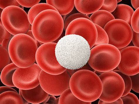 Premium Photo 3d Rendering White Blood Cells With Red Blood Cells