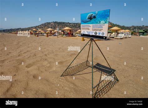 Protective Nest Cage For Sea Turtle Eggs Iztuzu Beach Dalyan Mugla