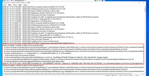 Im Not Getting A Grasshopper Response From Rhino Compute On Aws