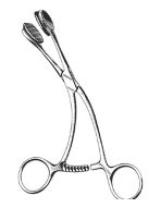Young Tongue Holding Forcep Upscale Instruments