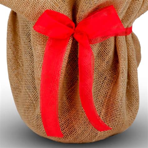 Ruby Wedding Anniversary Rose Bush T Willows Living Ts Sending Personalised Hand