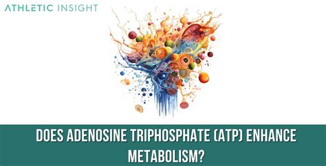 Adenosine Triphosphate Atp Definition How It Works And Importance Athletic Insight