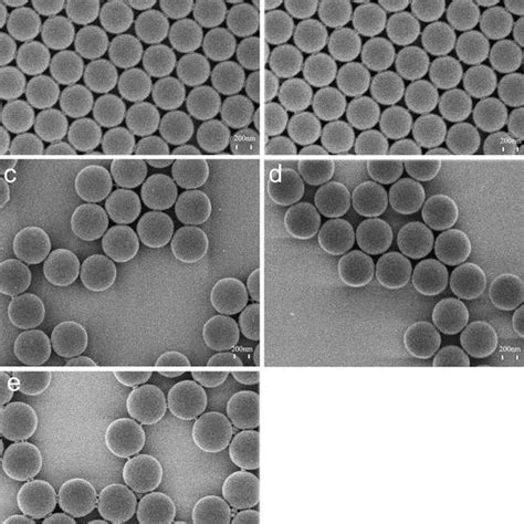 Sem Micrographs Of Different Coreshell Particles Of The Polymer