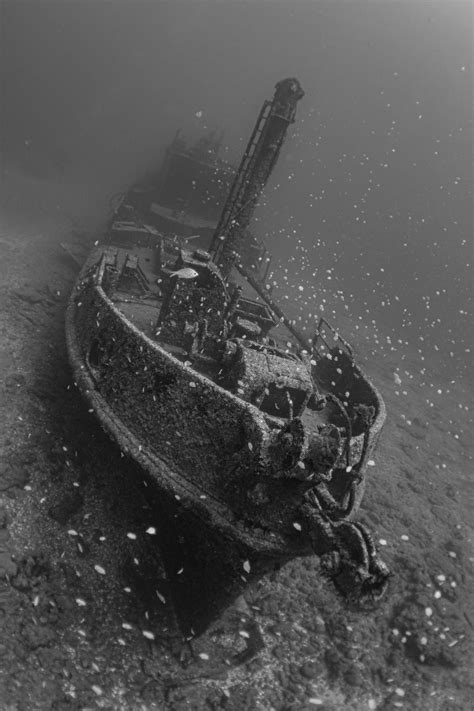 Klas Malmberg — Naturfotograferna