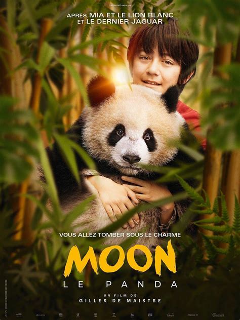 Moon Le Panda 2025 Filmaffinity