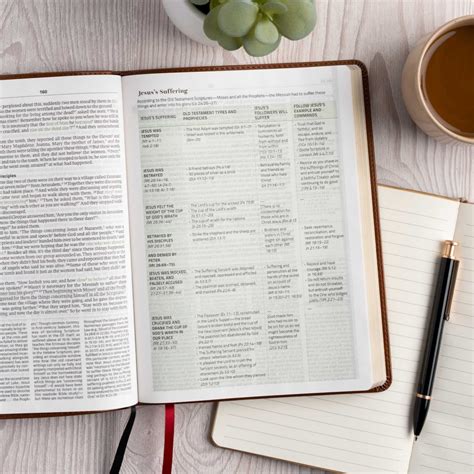 Csb Connecting Scripture New Testament Brown Leathertouch Bandh Publishing