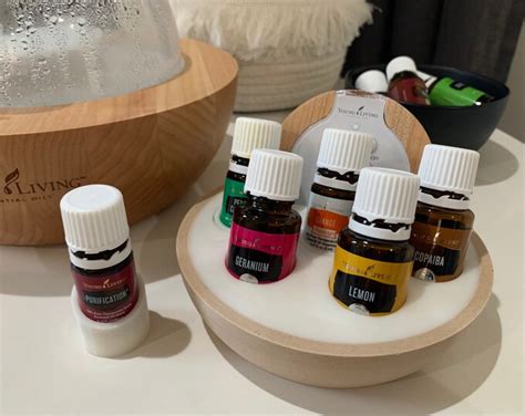 Mini Aria Collection Healthy Sexy Wise