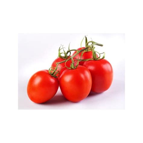 Rila F1 Seminte Tomate Rosii Nedeterminate Horticola