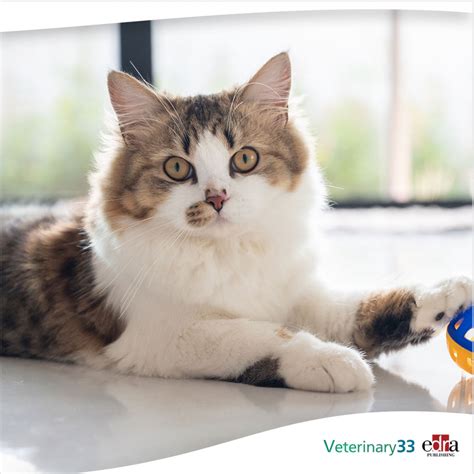 Surgical Findings And Outcomes After Unilateral Adrenalectomy For