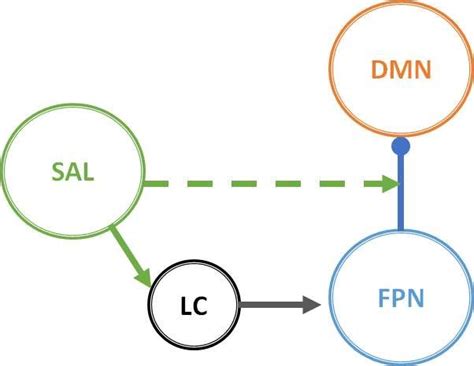 Model Of Large Scale Networks Interaction The Fronto Parietal Network Download Scientific