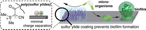 Zwitterionic Polymeric Sulfur Ylides For Antifouling Coatings Chemistryviews