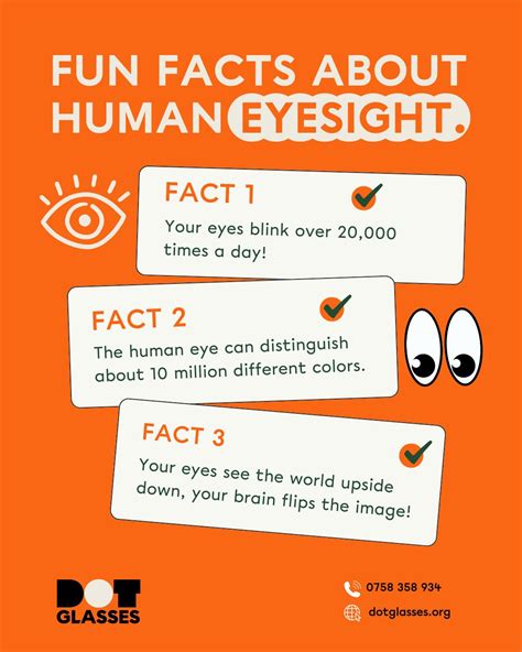 Dotglasses Seebetterlivebetter Dotglasseskenya Dot Glasses