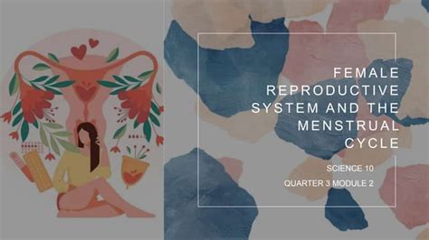 Menstrual Cycle Presentationpptx Grade 10 Pptx Menstrual Cycle Presentationpptx Grade 10 Pptx