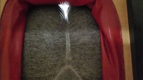 Pov I Make You Smell My Sweaty Stinky Farts After I Workout Princess