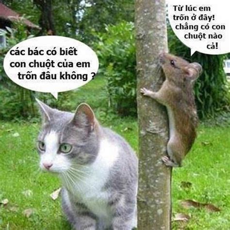 Ảnh Hài Những Hình ảnh Hài Hước Nhất