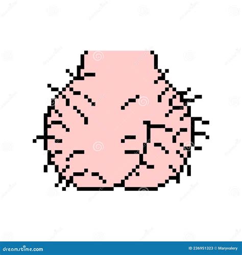 Scrotum Pixel Art Cartoon Illustration 8bit Male Balls Vector Illustration Stock Vector