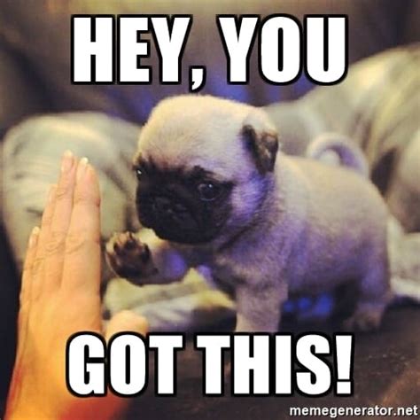 40 Best Memes To Let You Know That You Got This