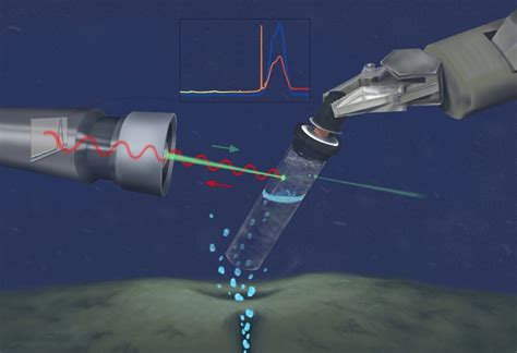 Laser Raman Spectroscopy Applications At Jack Waller Blog