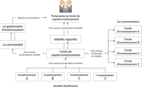 Fonds De Capital Investissement Comment Choisir La Structure Appropriée
